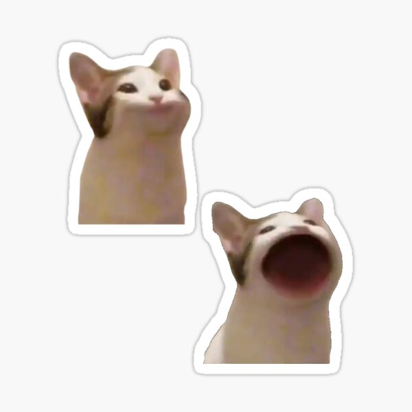 "Popcat Sticker Pack" Sticker for Sale by Peeshes | Redbubble