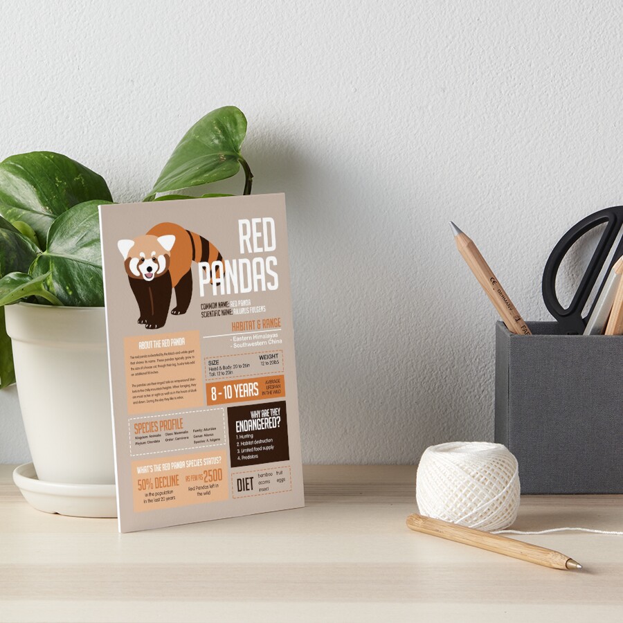 "Red Panda Infographic" Poster for Sale by Luan Huynh | Redbubble