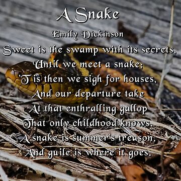 "A Snake Emily Dickinson" Poster for Sale by Brad Chambers | Redbubble