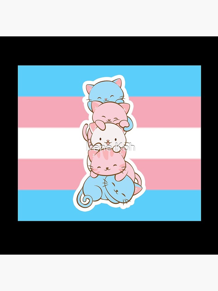 Transgender Pride Flag Cute Kawaii Cats Subtle Lgbtq Trans Pride Pin
