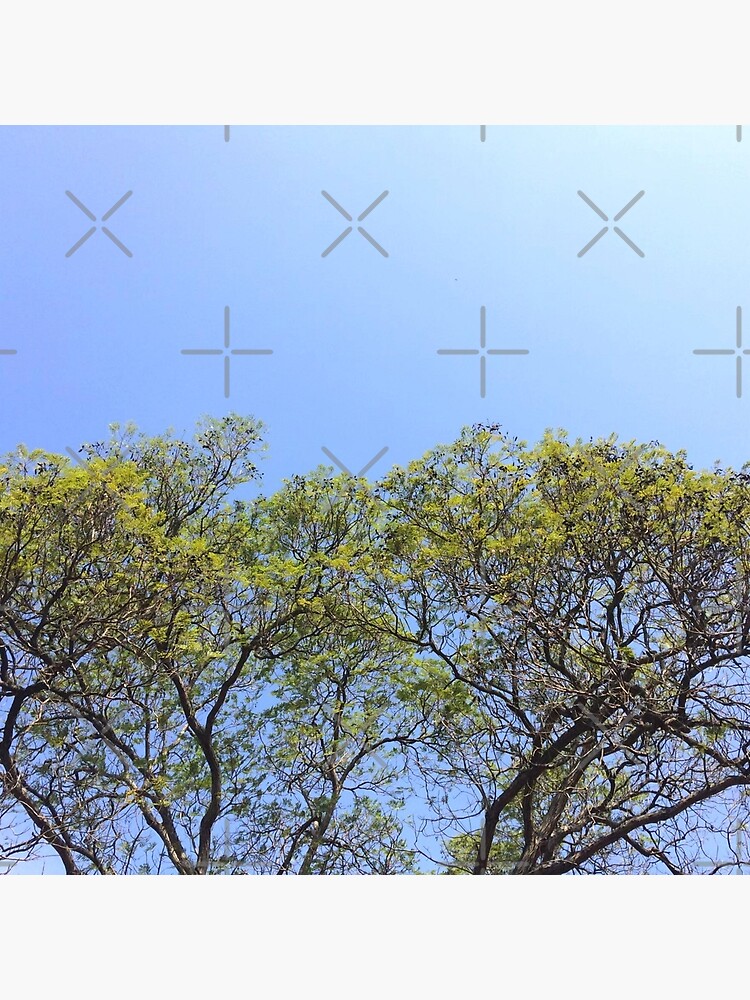 "Strong Tree with Beautiful Blue Sky" Poster for Sale by SnailJosegira ...