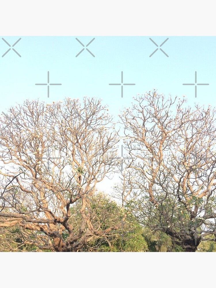 "Strong Tree with Beautiful Blue Sky I" Poster for Sale by ...