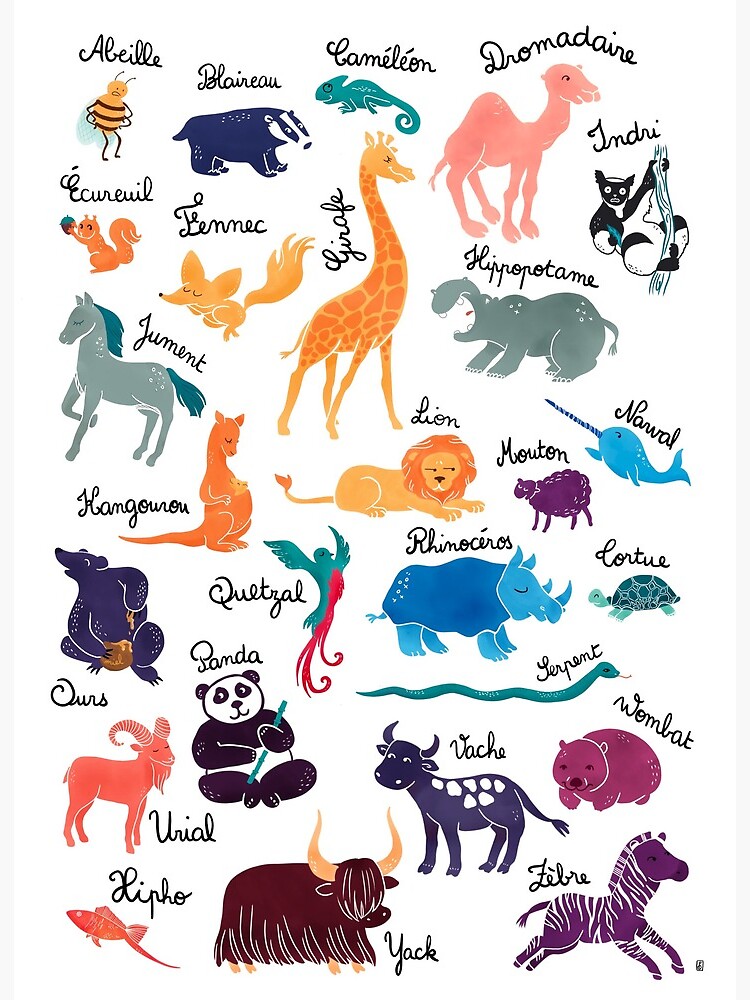 "Alphabet book of animals" Art Board Print by klrfouch | Redbubble