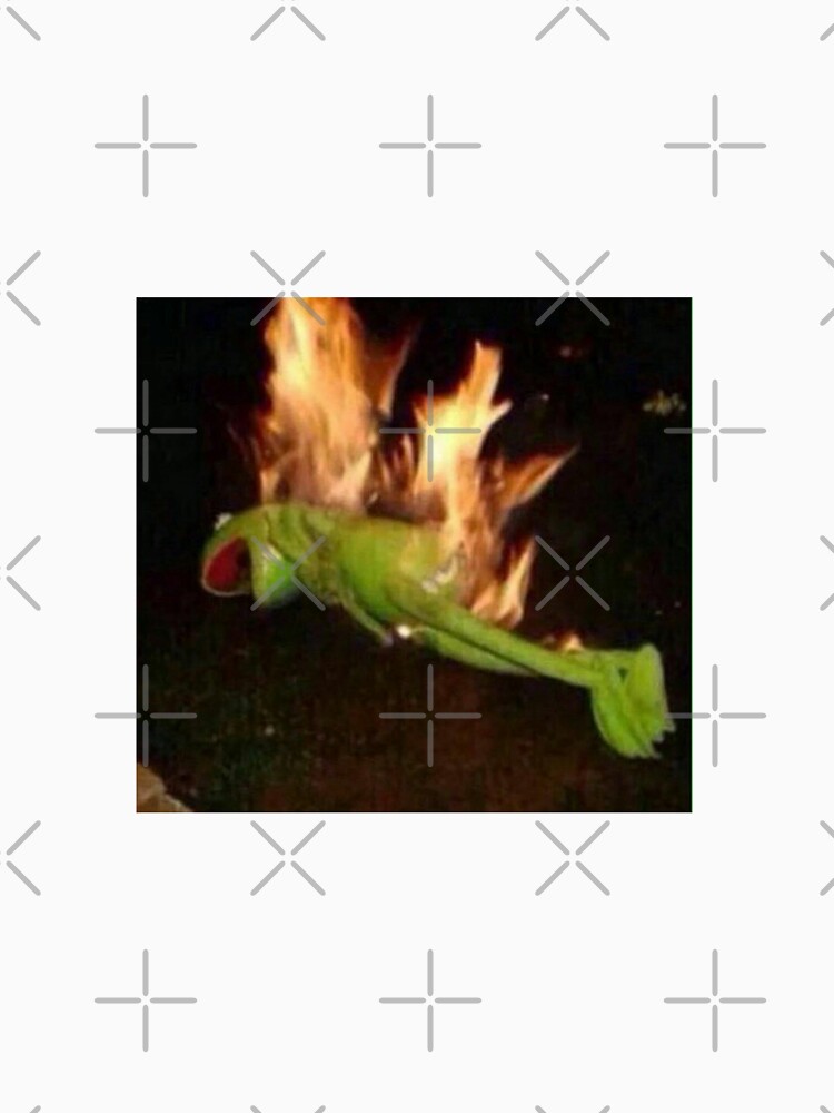 "Kermit on Fire" T-shirt by baileyxo | Redbubble