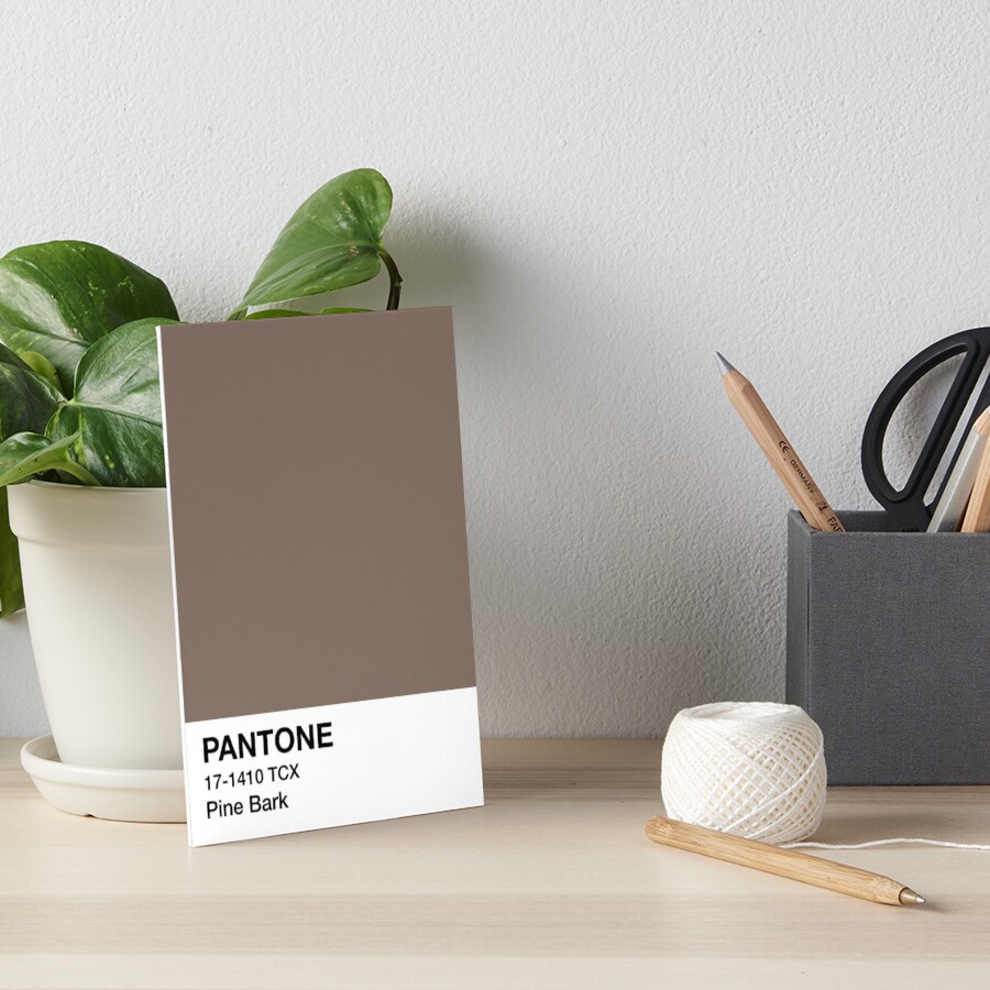 "PANTONE Pine Bark, Brown" Art Board Print by Mushroom-Gorge | Redbubble