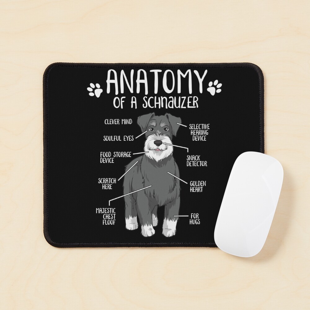 "Funny Miniature Schnauzer Anatomy Dog Owner Dog Lover" Sticker for Sale by la-nynx | Redbubble
