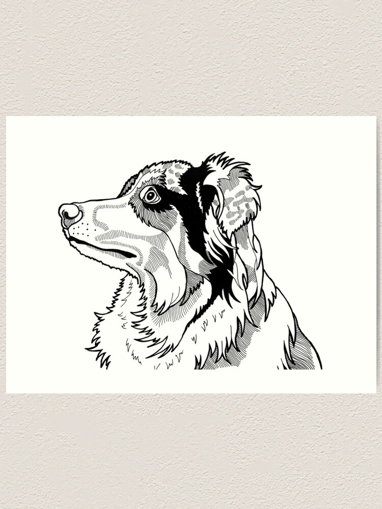 "Regal Australian Shepherd Dog Line Drawing, Black and White Pop Art ...