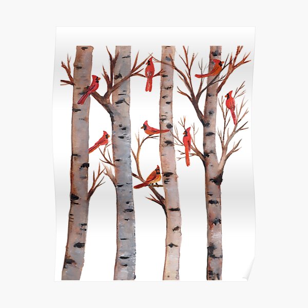 "Birch Tree and Cardinals" Poster for Sale by TiffanyRoy | Redbubble