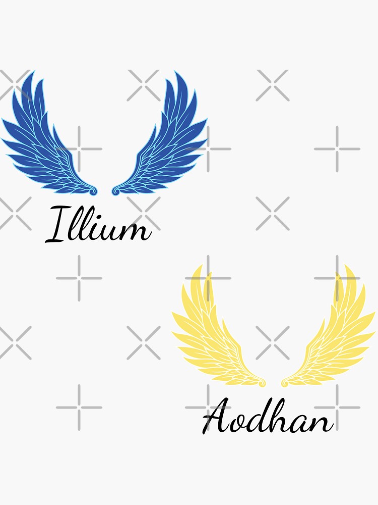 "Illium and Aodhan " Sticker for Sale by readallthebooks | Redbubble