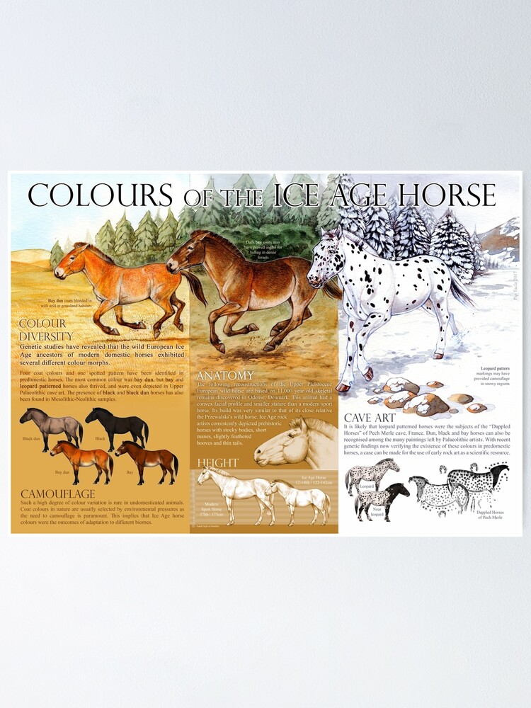 "Colours of the Ice Age Horse" Poster for Sale by antarcticpip | Redbubble