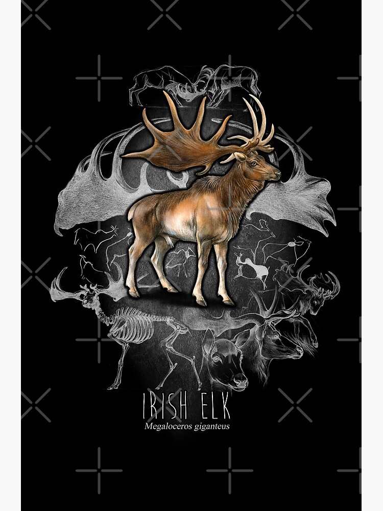 "Irish Elk (Megaloceros)" Art Print for Sale by antarcticpip | Redbubble