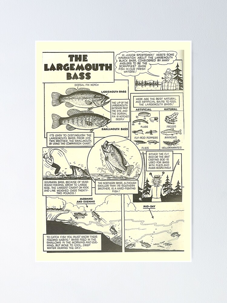 Póster «Fishing Comic Book Classic 50's Tutorial Consejos y técnicas ...