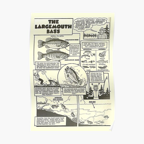 Póster «Fishing Comic Book Classic 50's Tutorial Consejos y técnicas ...