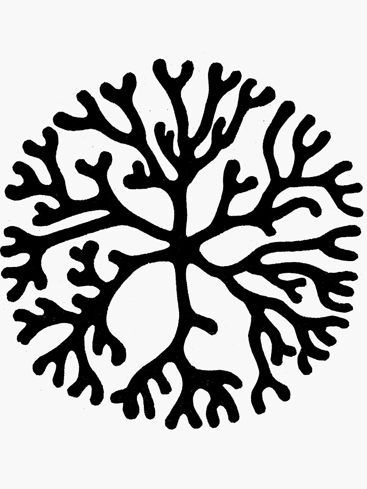 "tree root" Sticker for Sale by cipiwaskito | Redbubble