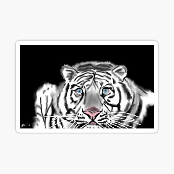 "The White Tiger" Sticker for Sale by Jaws1983 | Redbubble