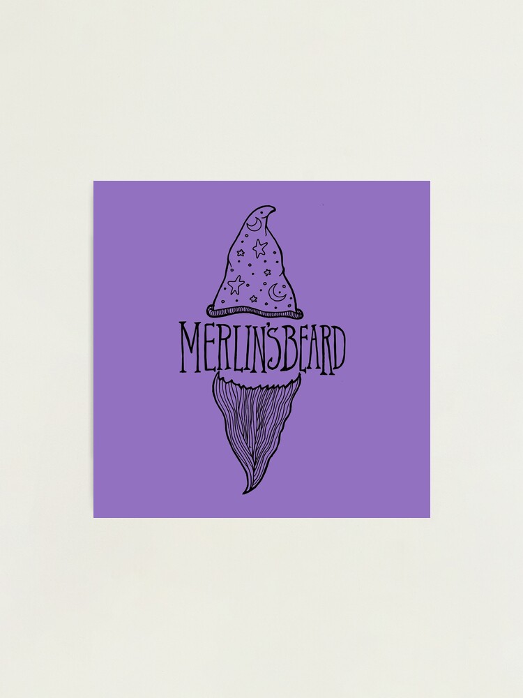 Merlins Beard Symbol 𝐖𝐡𝐞𝐧 𝐇𝐨𝐮𝐬𝐞