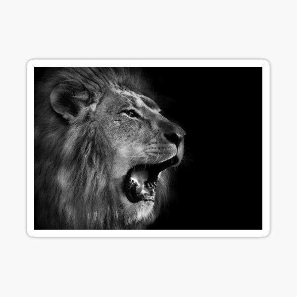 "Roar" Sticker for Sale by jowilde | Redbubble