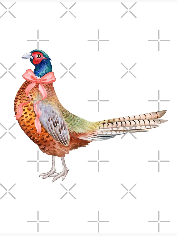 "Merry Christmas greetings - Watercolor Christmas pheasant with pink ...