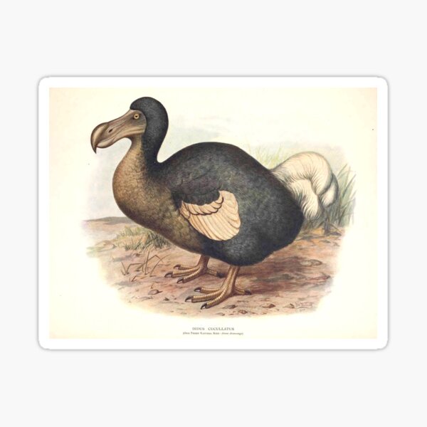 "Antique Dodo Bird" Sticker for Sale by collageDP | Redbubble