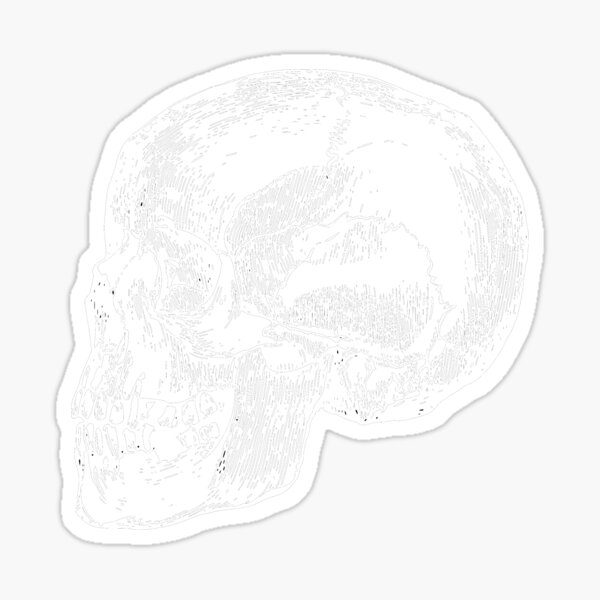 "white skull" Sticker by zuller | Redbubble