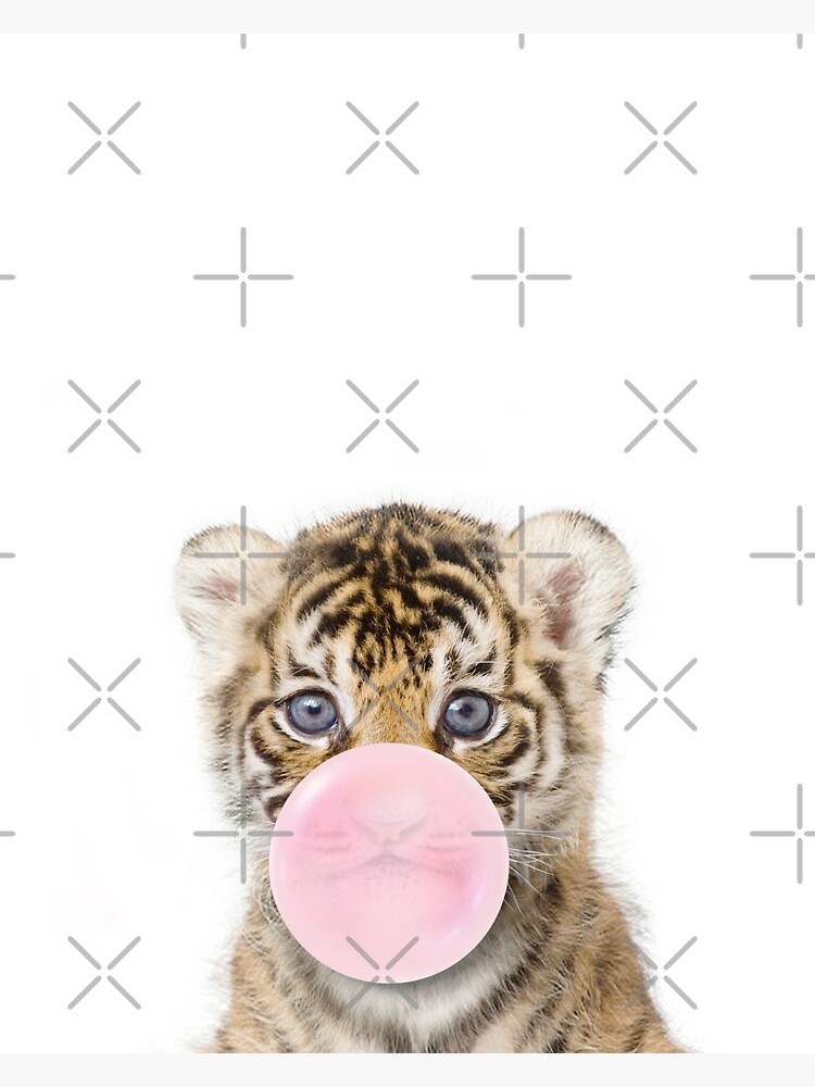 "Baby Tiger Blowing Bubble Gum Pink by Zouzounio Art" Sticker by ...