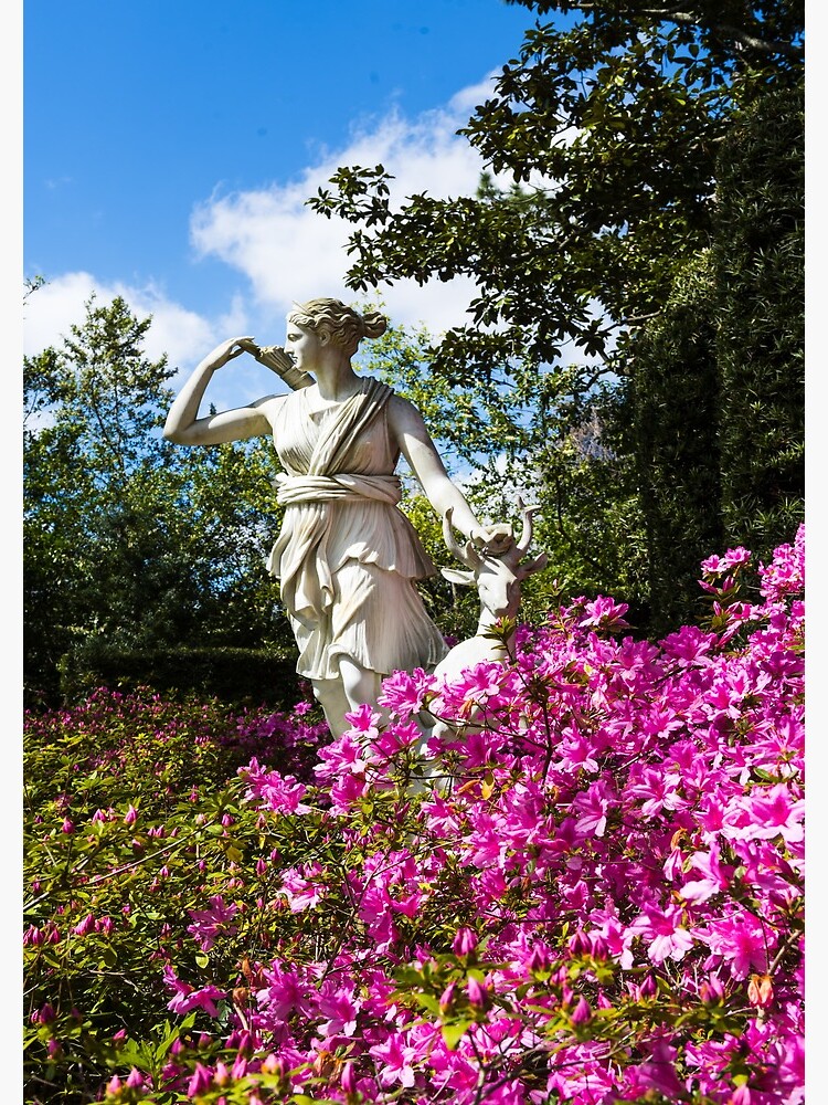 Cahier à spirale « La statue de Diana, déesse romaine de la chasse et ...