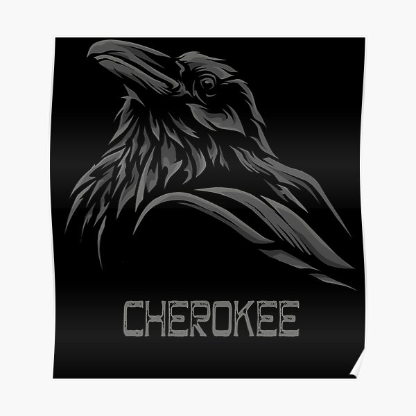 "American Indian Raven Spirit Cherokee Tribe Indigenous Raven creator ...