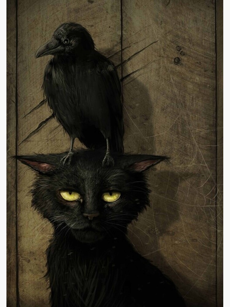 "The Raven And The Cat" Poster for Sale by talpeoil | Redbubble