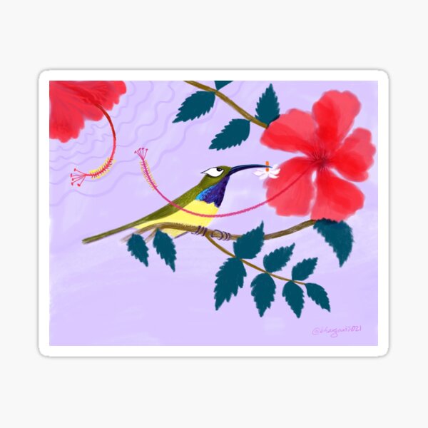 "The Sunbird" Sticker for Sale by bhargs2597 | Redbubble