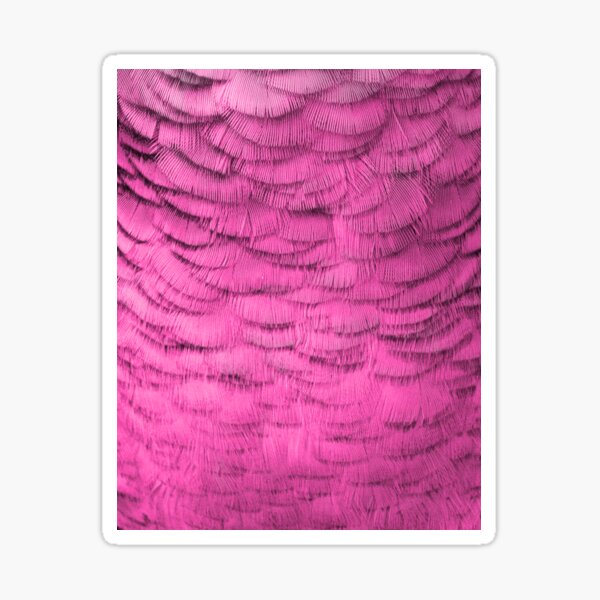 "Feathers of a Pink Bird" Sticker for Sale by Joyful-Express | Redbubble