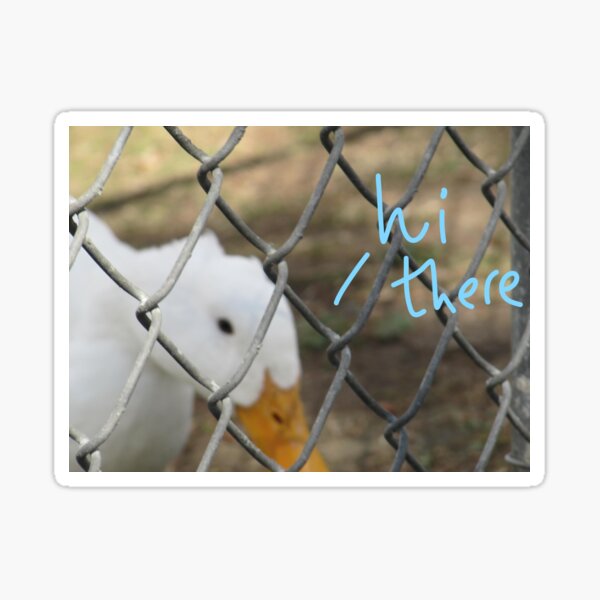 "hi there" Sticker for Sale by Katie-ElaineT | Redbubble