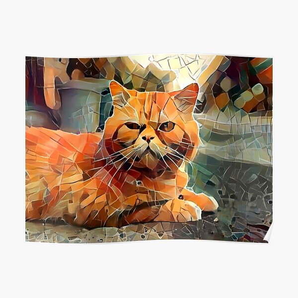 "Cute Cat Chubby" Poster for Sale by jeggersss | Redbubble