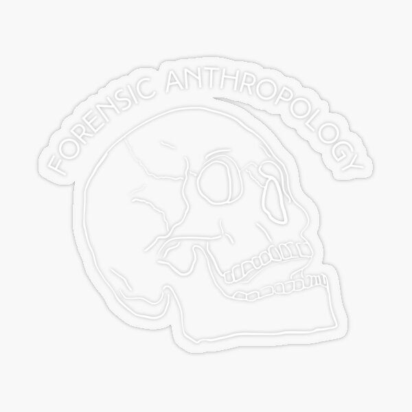 "FORENSIC ANTHROPOLOGY- Skull" Sticker for Sale by YouLightMeUp | Redbubble