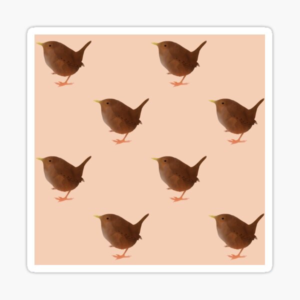 "Wren" Sticker by Thepsonthi | Redbubble