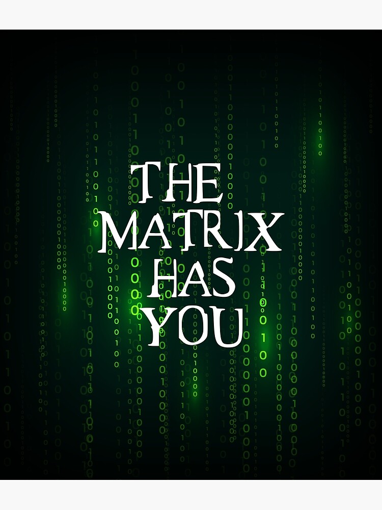 "The Matrix Has You" Poster for Sale by amourdesigns | Redbubble