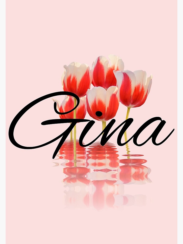 Gina Name Wallpaper Name Gina Stock Illustrations – 3 Name Gina