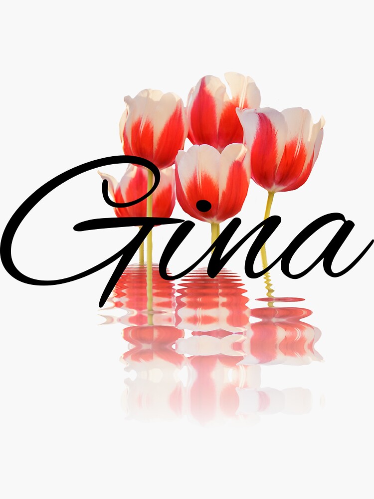 "Gina name" Sticker for Sale by Areashor | Redbubble