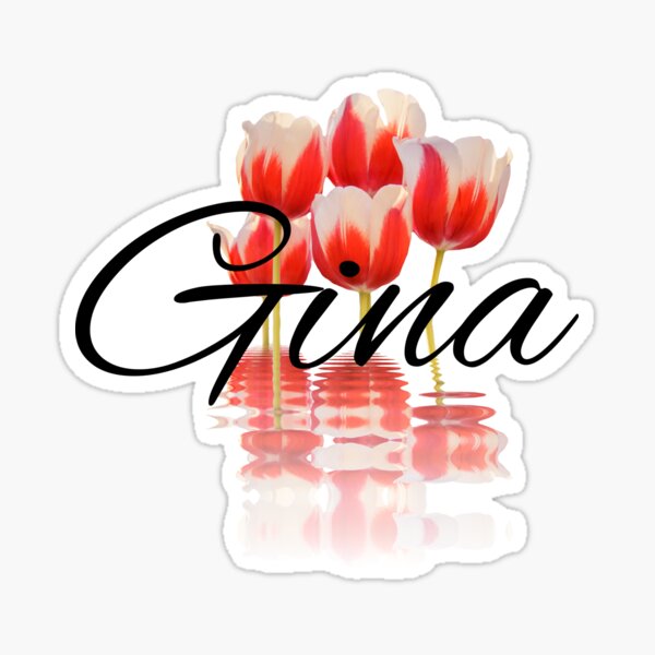 "Gina name" Sticker for Sale by Areashor | Redbubble