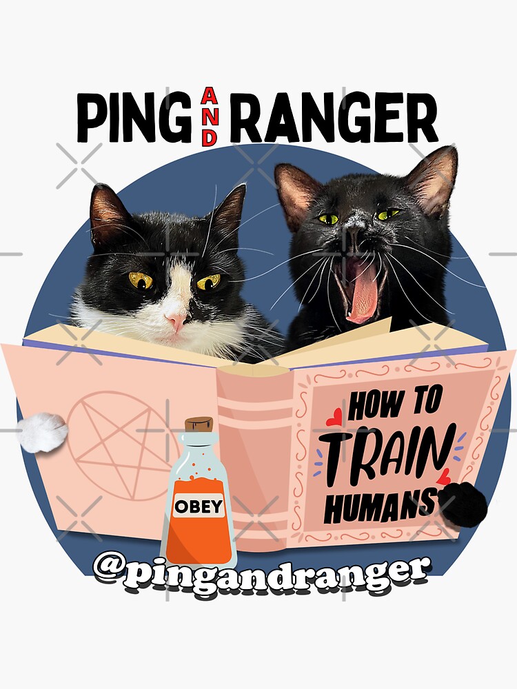Pegatina «Cómo entrenar humanos con Ping y Ranger v2» de SarahCRiley ...