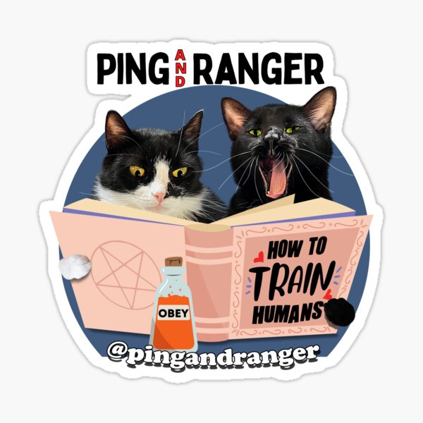 Pegatina «Cómo entrenar humanos con Ping y Ranger v2» de SarahCRiley ...