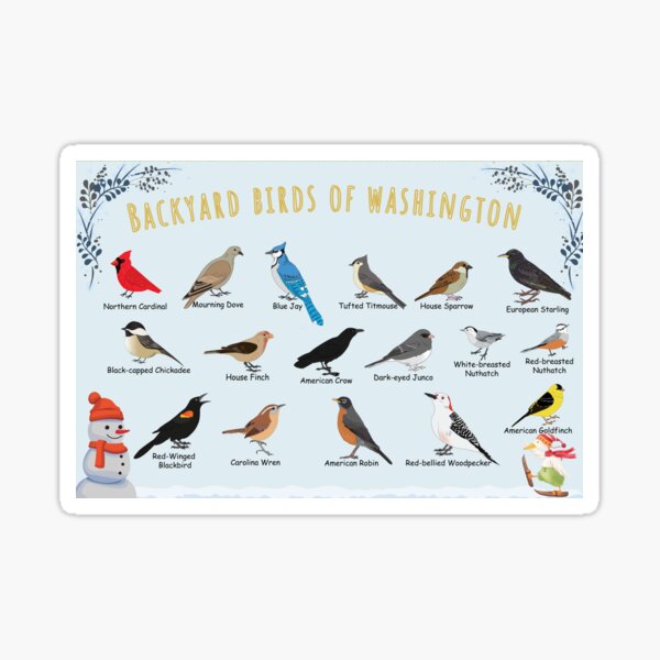 "Backyard birds of Washington state" Sticker by AndyMcBird | Redbubble