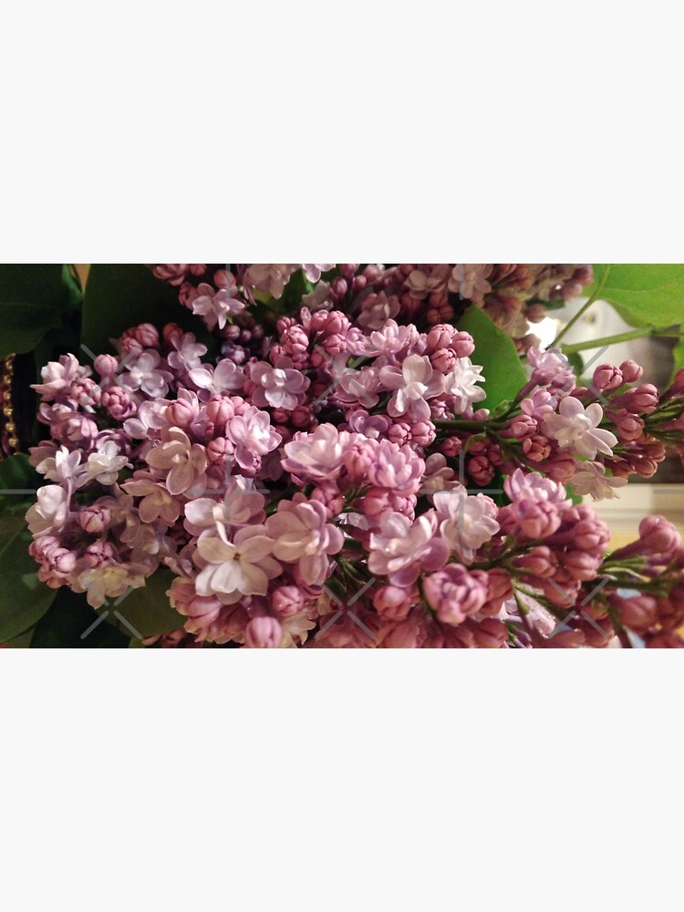 "Fragrant Lilac " Sticker for Sale by InnaGr | Redbubble