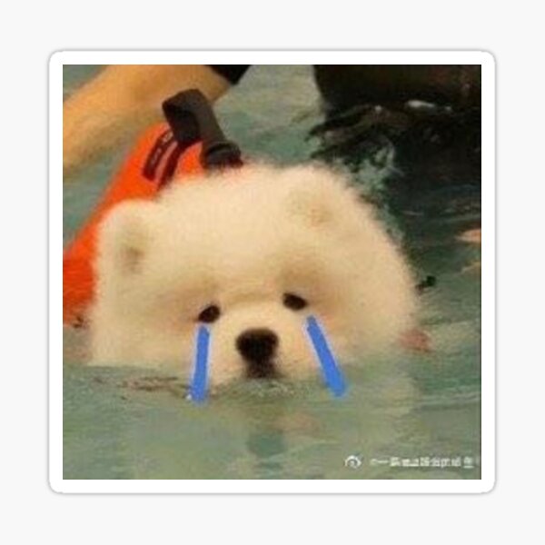 "sad doge" Sticker for Sale by beomgyull | Redbubble
