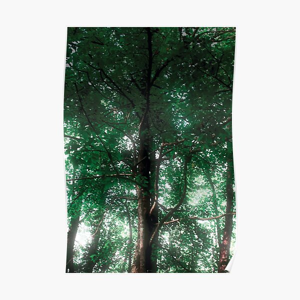 "Big, bright, green, glowy tree" Poster by ObsidianFrost | Redbubble