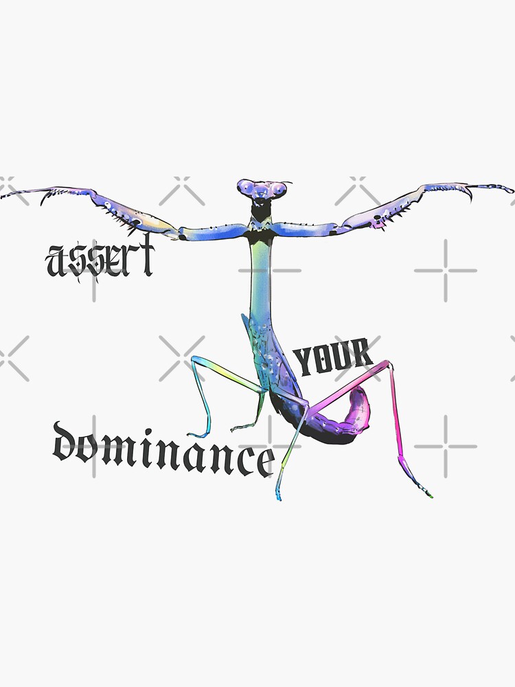 "T-pose: Assert Your Dominance | Praying Mantis Meme" Sticker for Sale ...