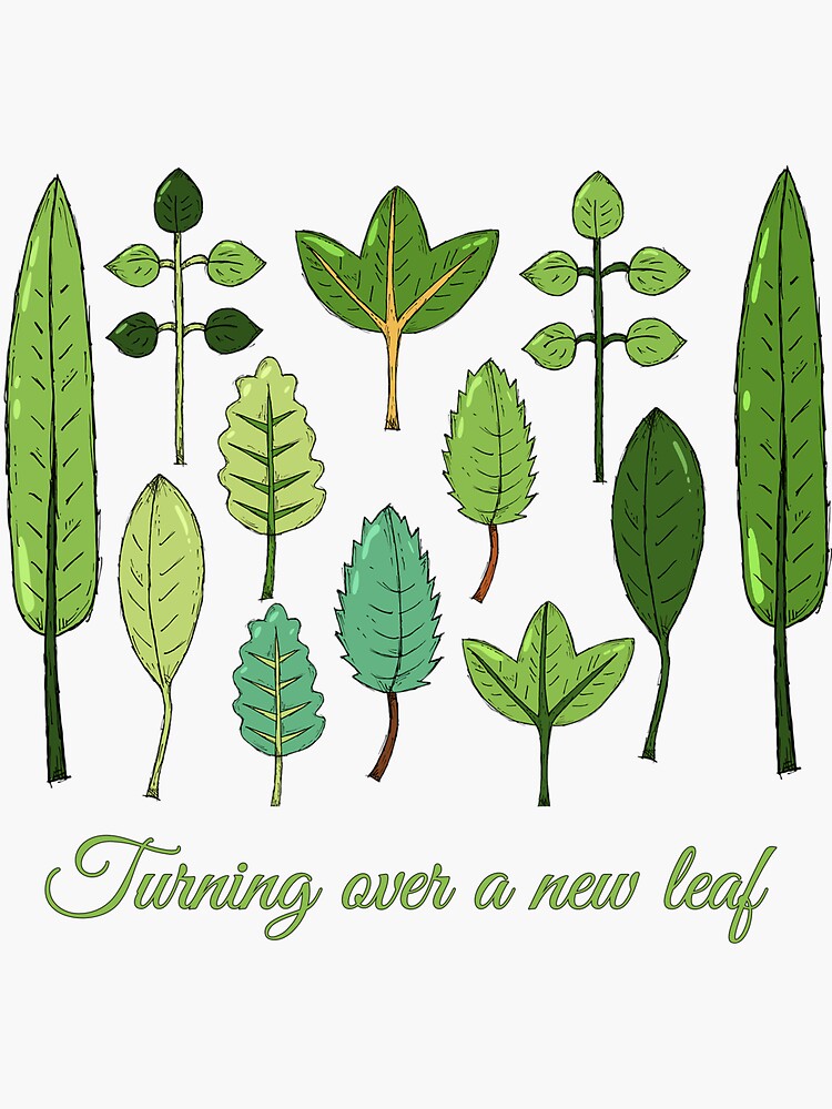"Turning over a new leaf " Sticker for Sale by Yogibro | Redbubble