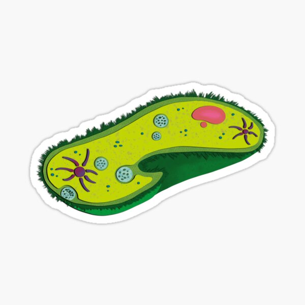 "Paramecium " Sticker by EmyBeeDesigns | Redbubble