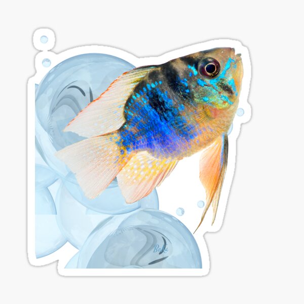 "Fish are our favorite" Sticker for Sale by bocikatica | Redbubble
