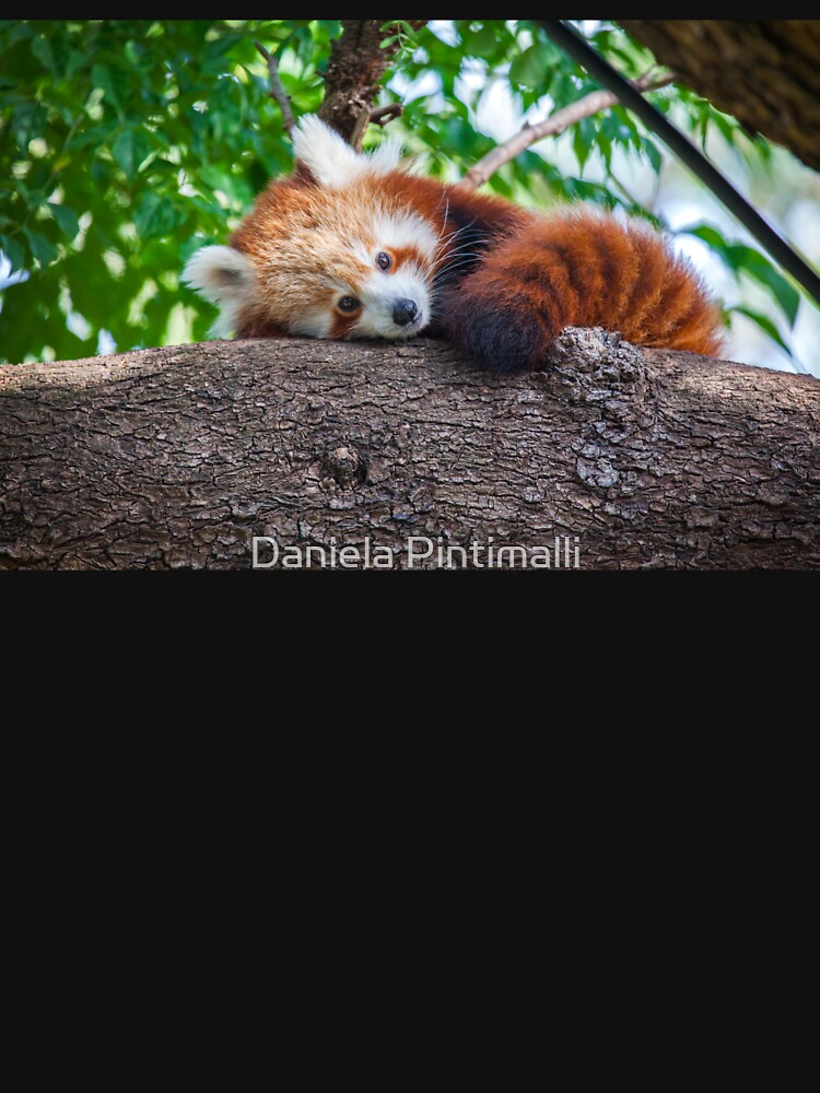 "Red Panda Pose" T-shirt for Sale by TVD-Photography | Redbubble | red ...