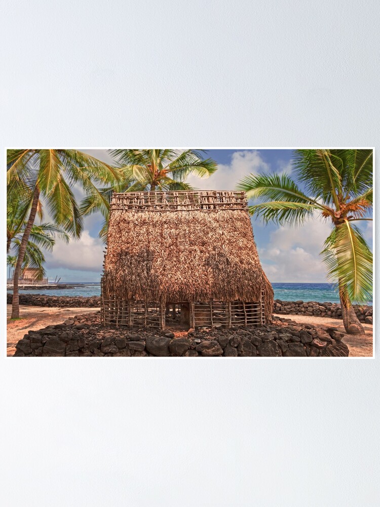 "Hawaiian Hale" Poster for Sale by alex4444 | Redbubble